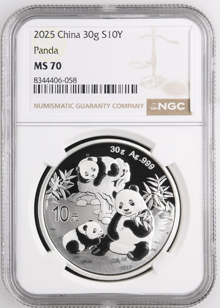 2025 CHINA S10Y PANDA – AllCoins4You